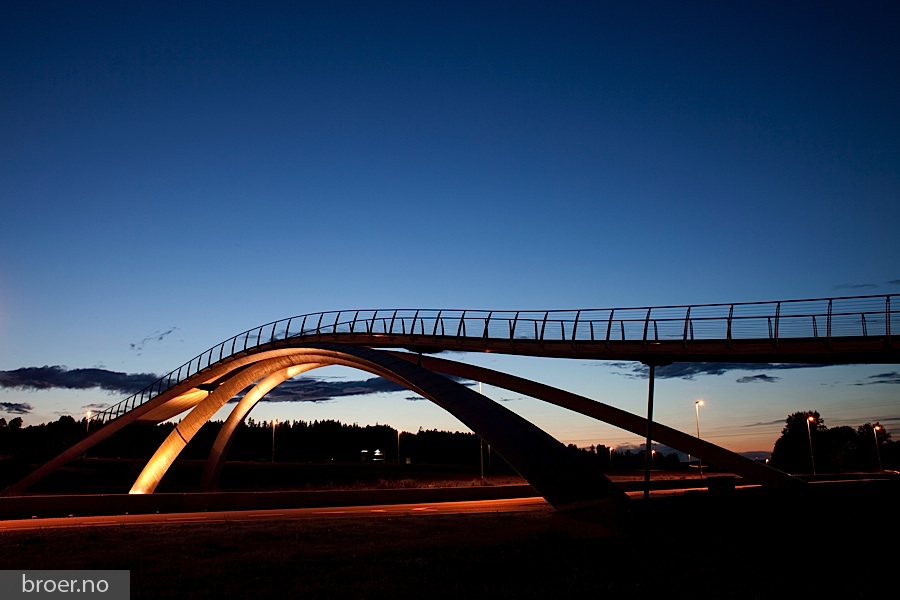 Da Vinci Bridge - bridgeinfo.net